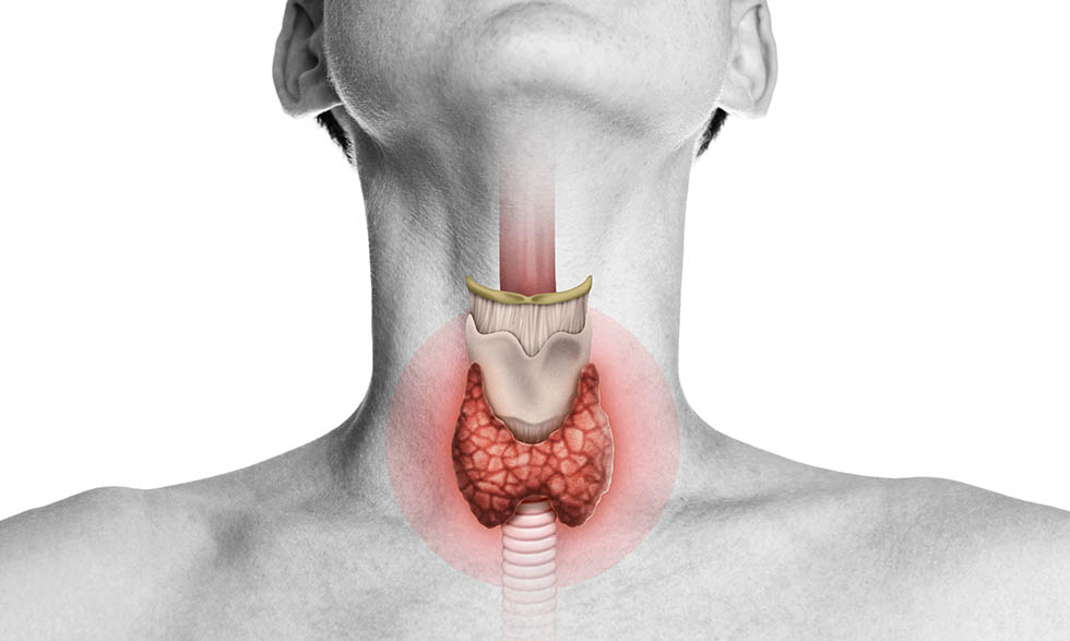Optimize Health with Natural Thyroid Replacement Therapy
