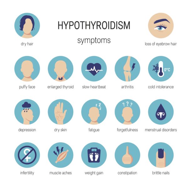 Using Bioidentical T3 and T4 For Hypothyroidism Treatment