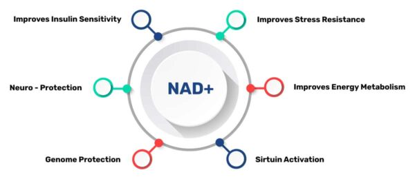 NAD+ Therapy Administration Methods | Which One is For You