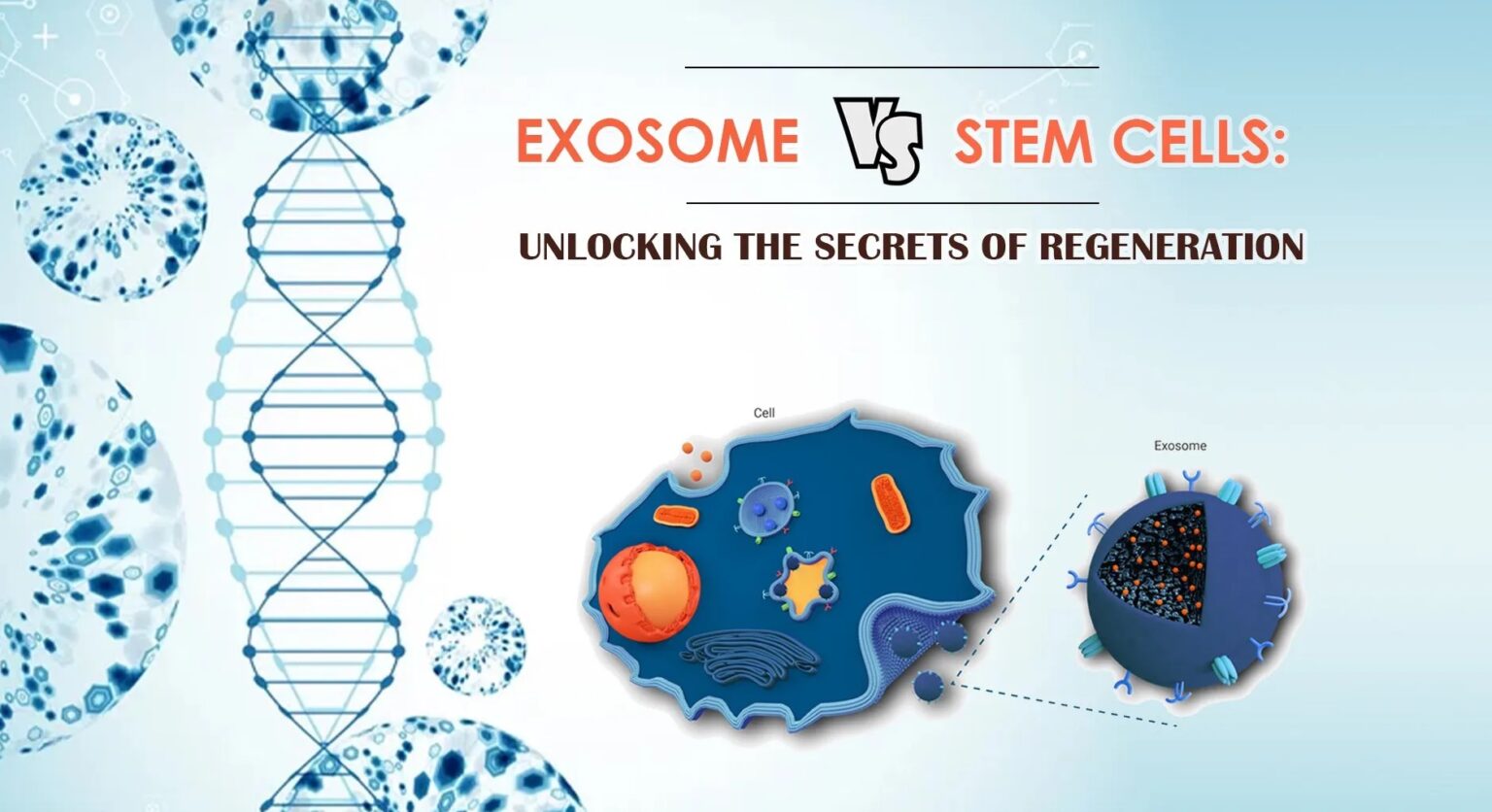 Exploring Exosome & Stem Cell Therapy: What You Need to Know